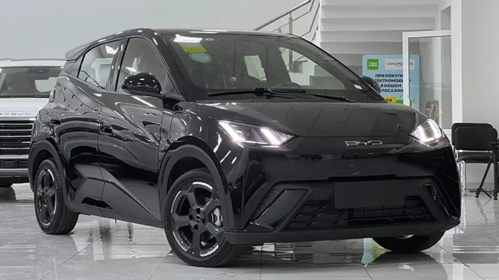 BYD Dolphin Mini de 5 lugares: Detalhes e Especificações